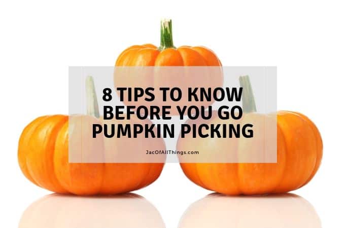 8 Tips To Know Before You Go Pumpkin Picking - Jac of All Things